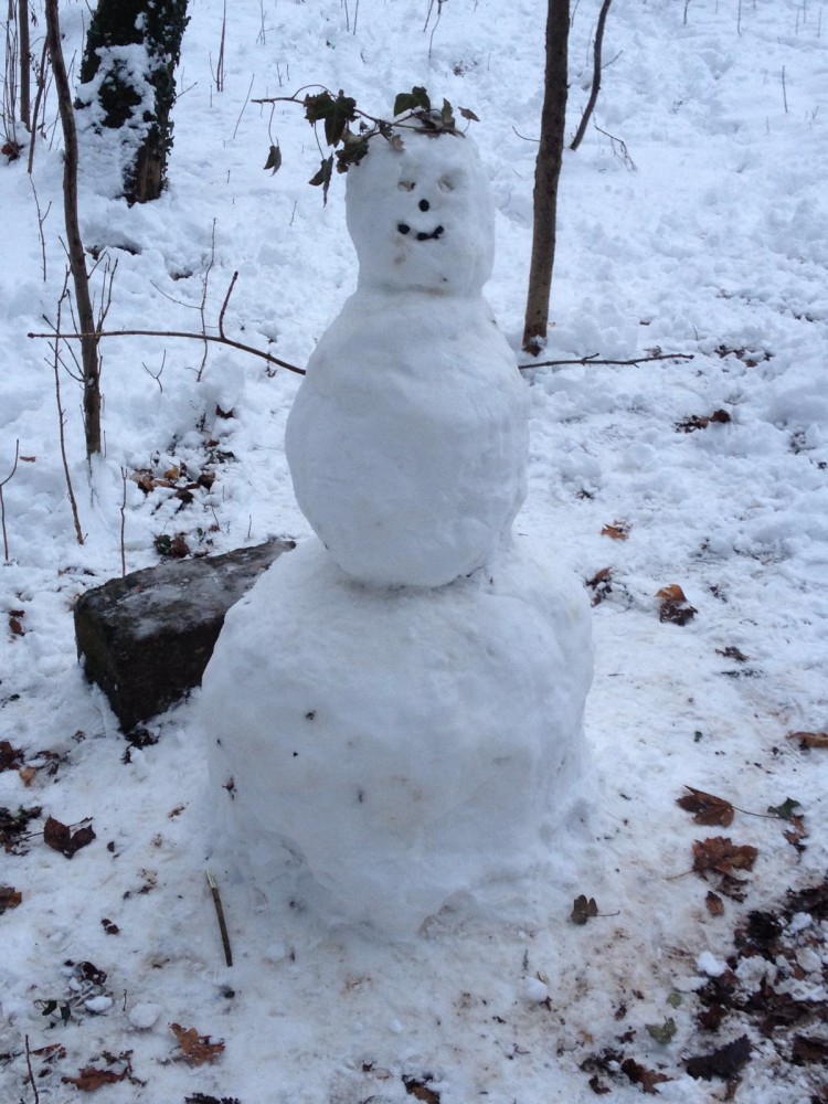 Groupe scout Lac-Bleu - Journal de la Ronde