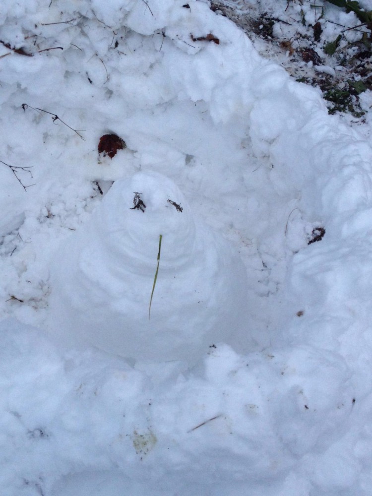 Groupe scout Lac-Bleu - Journal de la Ronde
